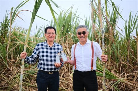 終結檳榔三不管，《檳榔防制法》草案出爐，規範檳榔銷售、嚼食、農藥重金屬殘留 上下游新聞