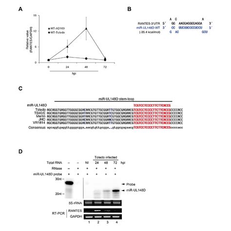 Publications The Lab Virus And Molecular Genome Engineering