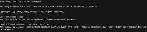 Oracle Tnsping Sql1