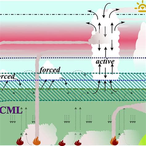 Schematic Of The Typical Diurnal Development Of The Convective Boundary Download Scientific