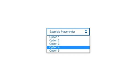 30 Best Free Css Select Boxes In 2025