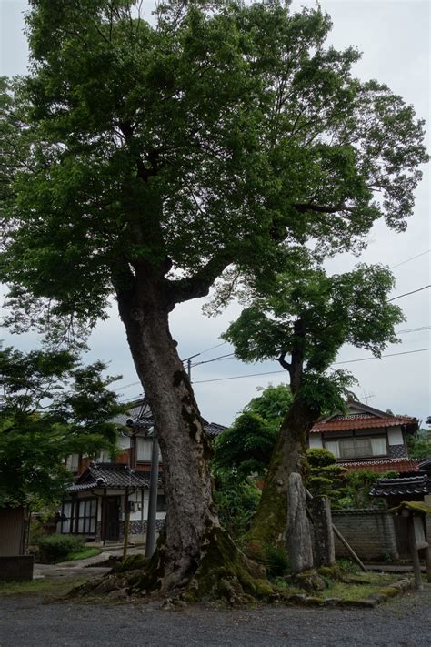 因幡船岡駅 下船岡神社 sogensyookuのブログ