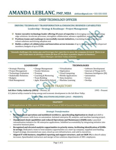 Chief Technology Officer Resume Examples For 2025 [ Guide]