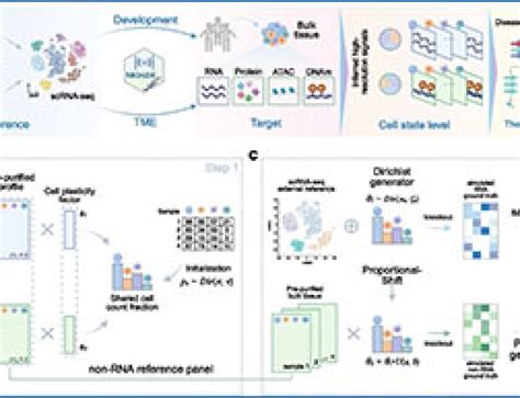 Mapit Seq Co Profiling Of In Situ Rna Protein Interactions And Transcriptome In Single Cells