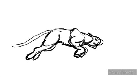 run cycle animation practice 3 youtube