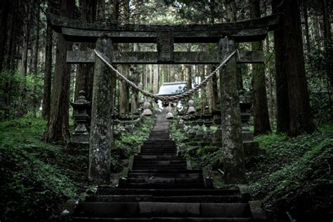 蛍火の杜へ3 By Mm701 （id：8705350） 写真共有サイトphotohito