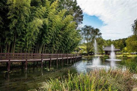 전남 전국생활체육대축전 연계 지역 매력 알린다 무예신문 대한민국 대표 무예체육뉴스