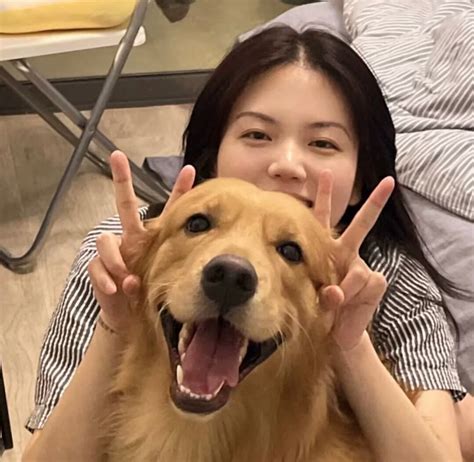 女生头像 抱狗 高清图片堆糖美图壁纸兴趣社区