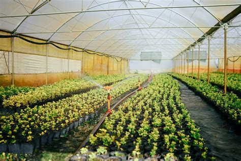 Exploring Export Opportunities With Agriplasts Protected Cultivation