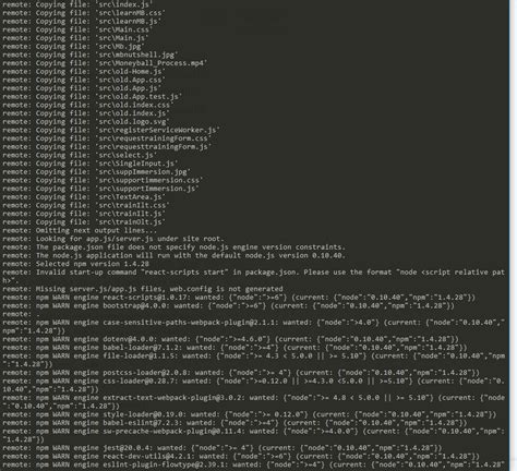 Node Module Version