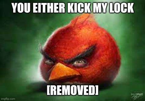 Realistic Red Angry Birds Imgflip