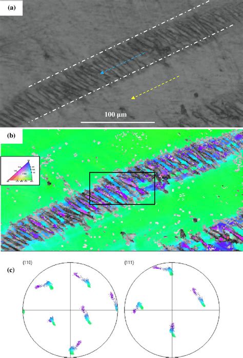 Ebsd Micrographs Of The Deformed Specimen After Straining To 060 A