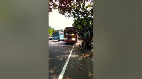 සැර Update එකකින් පස්සේ නුවර ආපු මායා කිරිල්ලි අම්මෝ එයාගේ හෝන් පාර 🎶
