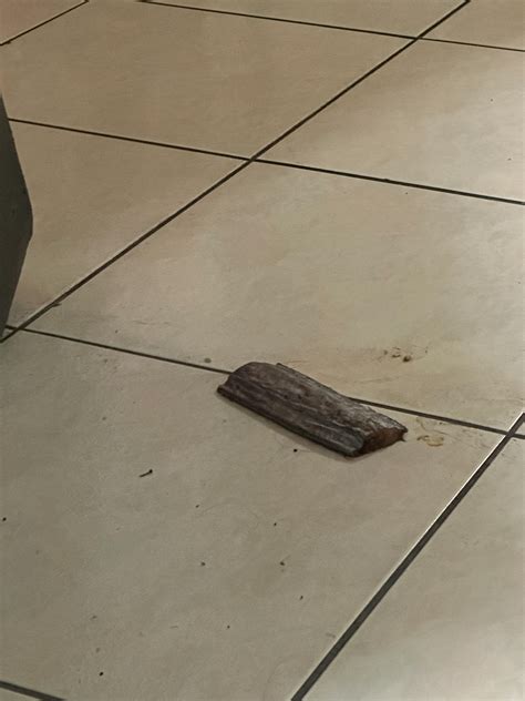 剛剛想說為什麼回爸媽家有一種臭味 沙發搬開 一隻白帶魚 整間房子好像死過人一樣 臭到快瘋掉 我爸就再醉一點沒關係