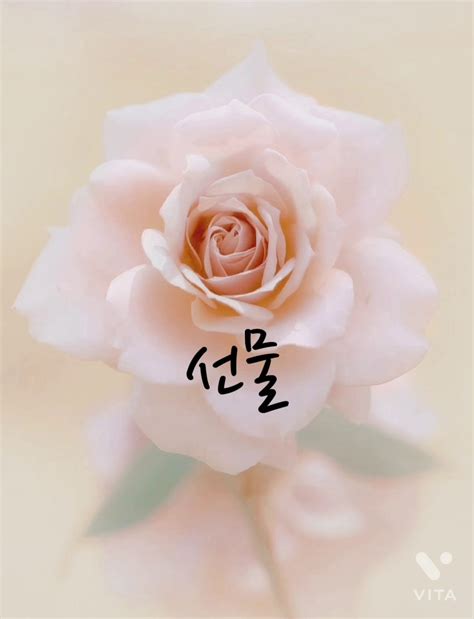 위로 공감 캘리그라피 BAND Page