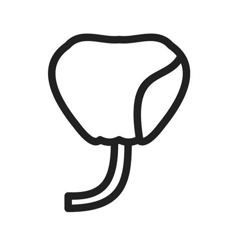 Anatom Bladder Gland Human Male Prostate System Icon Download