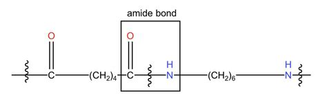 Draw The Structures Of The Monomers That Could Be Used To Ma Quizlet