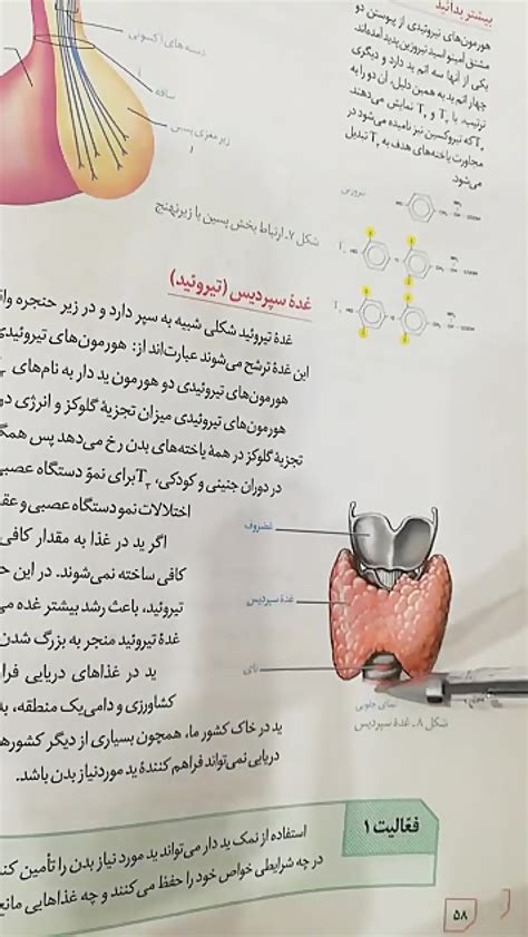 غده تیروئید