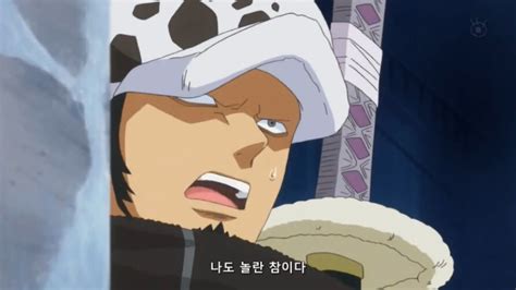 누설 원피스 트라팔가 로우 근황 유머 게시판