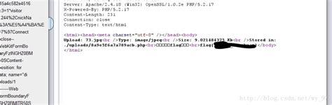 文件上传绕过 php图片上传绕过 csdn博客