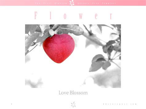 꽃 테마 Ppt 템플릿 핑크 블루톤 감성 파워포인트 디자인 The Fist Blossom