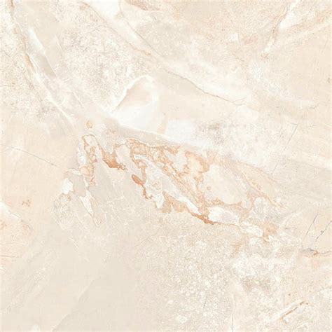 Fantasy Bianco Porcelain Exporter Stone Discover