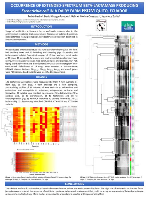 Pdf Occurrence Of Extended Spectrum Beta Lactamase Producing Escherichia Coli In A Dairy Farm