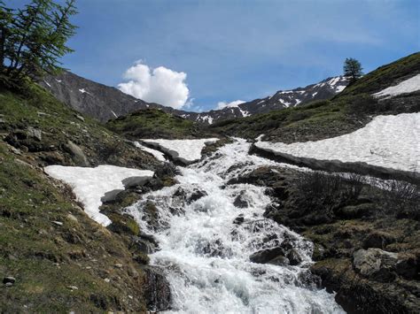 GitHub Egdevoie AGU SFCC Sensitivity