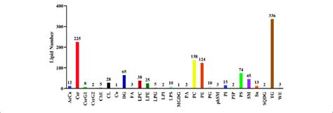 The Number Of Lipid Species Within Each Identified Lipid Class Based