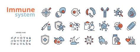 Human Immune System Line Icon Set Virus Protection Hygiene Shield