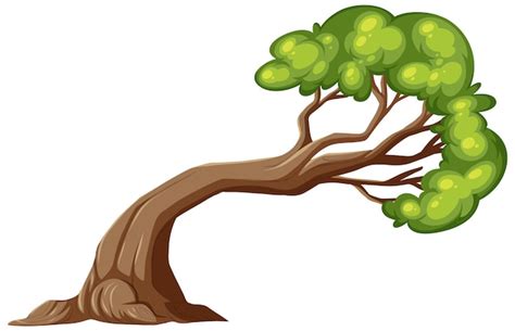 Premium Vector An Isolated Tree Cartoon