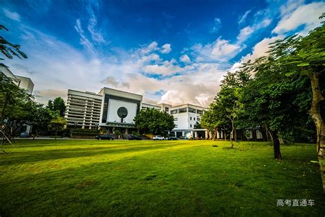 哈尔滨工业大学（深圳）2020届毕业生就业质量报告 高考直通车