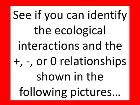 Ppt Ecological Interactions Powerpoint Presentation Free Download