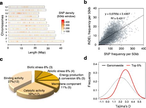 Genome Wide Distribution Of Snps And Indels Of Kricecore A Snp