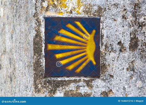 Yellow Scallop Shell Touristic Symbol Of The Camino De Santiago