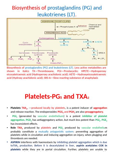 Biosynthesis Of Prostaglandins Pg And Leukotrienes Lt Pdf