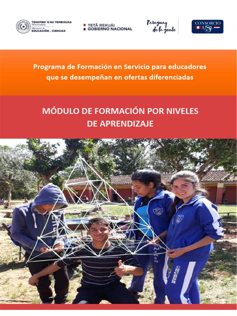 Modulo Formación Por Niveles De Aprendizaje Descargar Gratis Pdf
