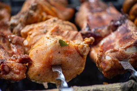 Grilled Pieces Of Pork Meat On Metal Skewers Shashlik Or Shish Kebab