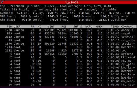 How To Make Top Command Sort By Memory Usage DevsDay Ru