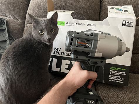New Tool Arrival Powerful And Smoooth Cat For Scale R Flextools