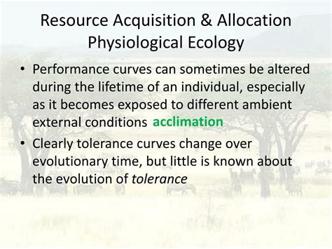 Ppt Resource Acquisition And Allocation Optimal Foraging Theory Powerpoint Presentation Id1096927