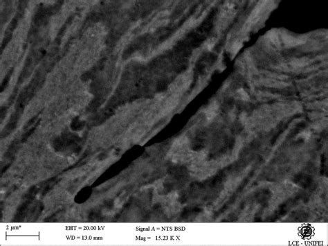 Scc Crack In Sa Sample Download Scientific Diagram