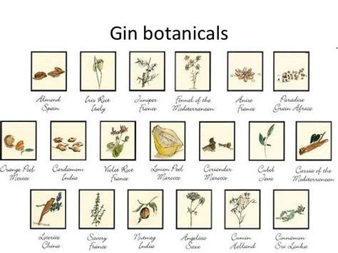 Classification Of Alcoholic Beverages