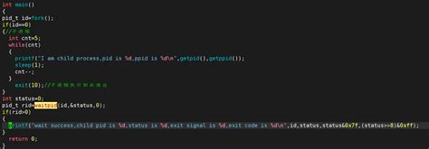 【linux】进程终止与进程等待wait Remote Command Exited Without Exit Status Or Csdn博客 【linux】进程终止与进程等待wait Remote Command Exited Without Exit Status Or Csdn博客
