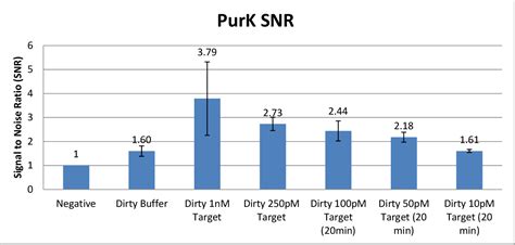 Figure 10 From Design And Validation Of Stem Loop Probes For Gene