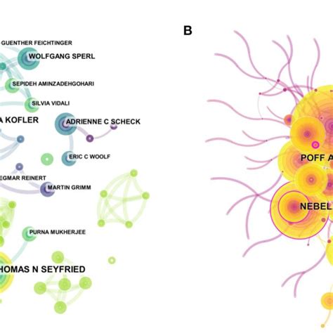 Figure E Visualization Map Of Authors Cited Authors A Visualization