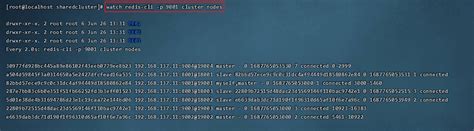 Redis分片集群 故障转移 Xycccode 博客园