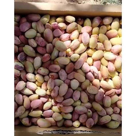 خرید و قیمت پسته تازه با کیفیت عالی در جعبه 5 الی 6 کیلویی از غرفه سهند