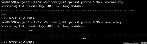 使用Let s Encrypt保护你的数据包 离别歌