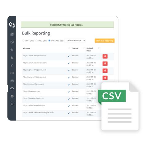 Bulk Reporting Seoptimer